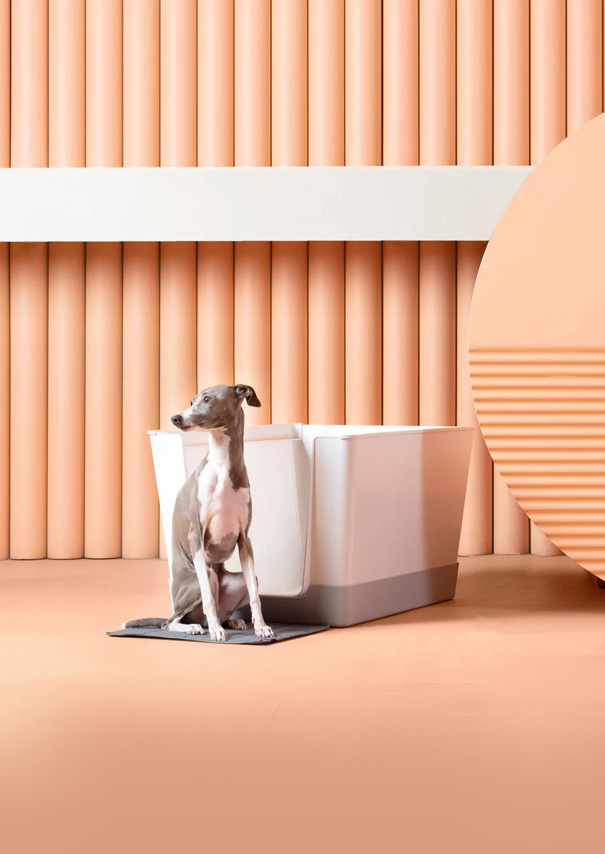 Doggy Bathroom– DoggyBathroom - The Best Dog Litter Box with Vertical ...