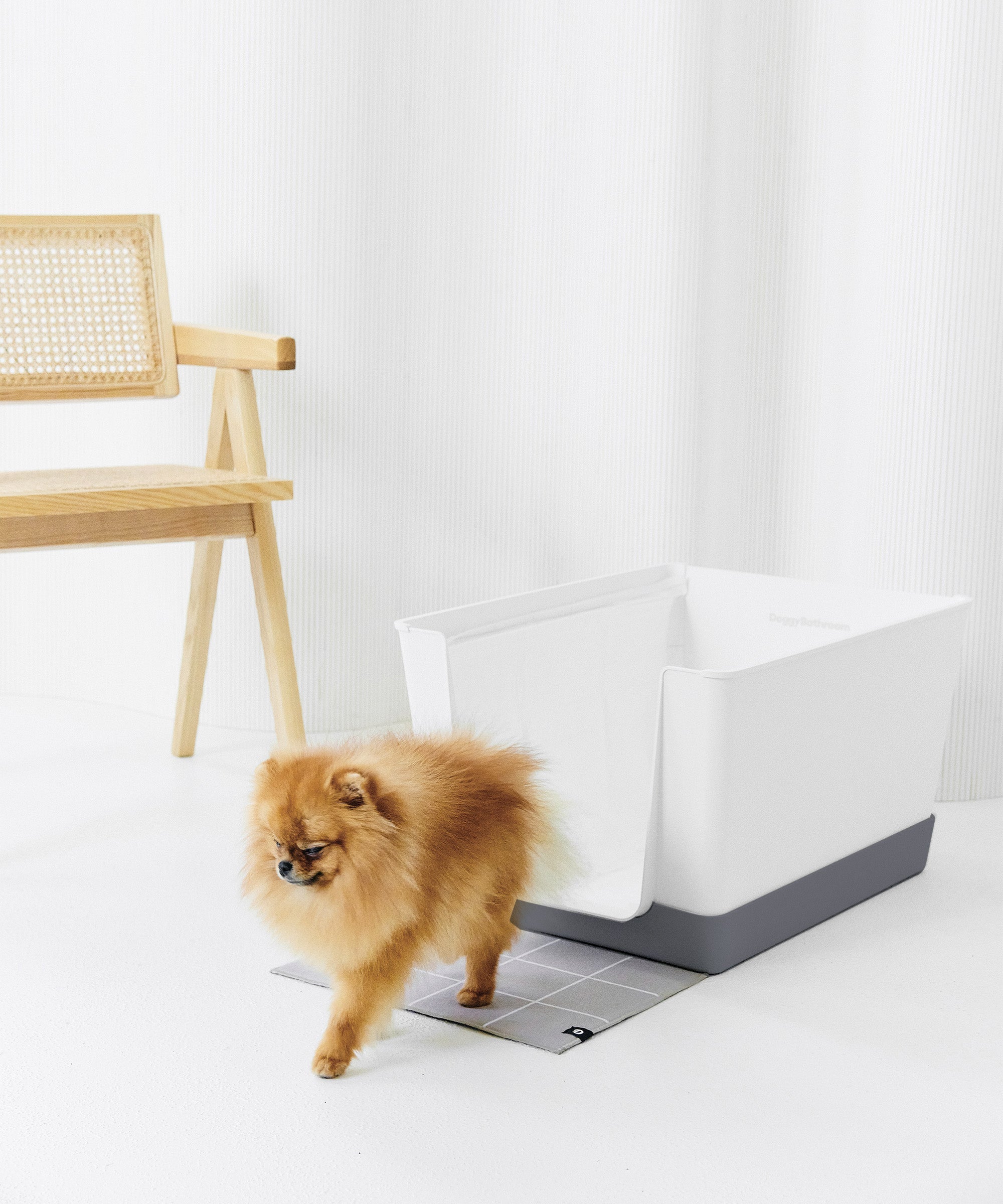 Doggy Bathroom– DoggyBathroom - The Best Dog Litter Box with Vertical ...