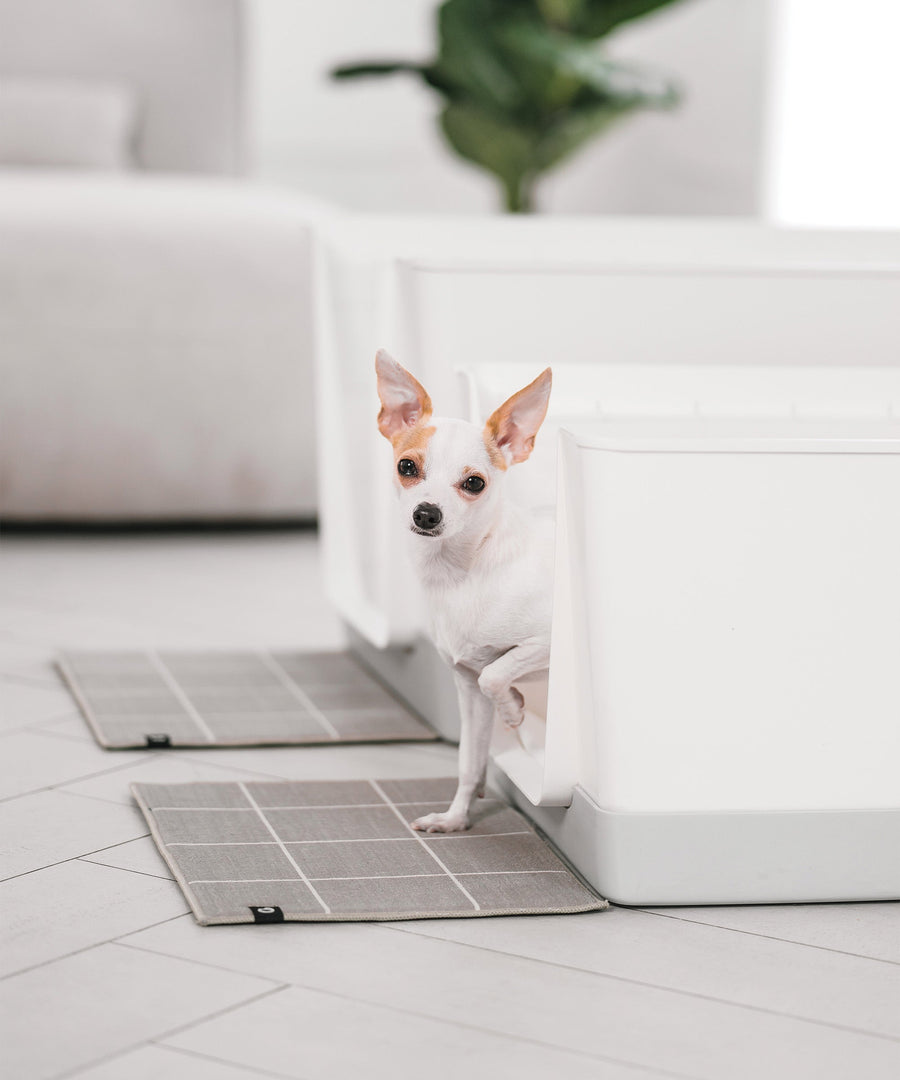 Doggy Bathroom– DoggyBathroom - The Best Dog Litter Box with Vertical ...