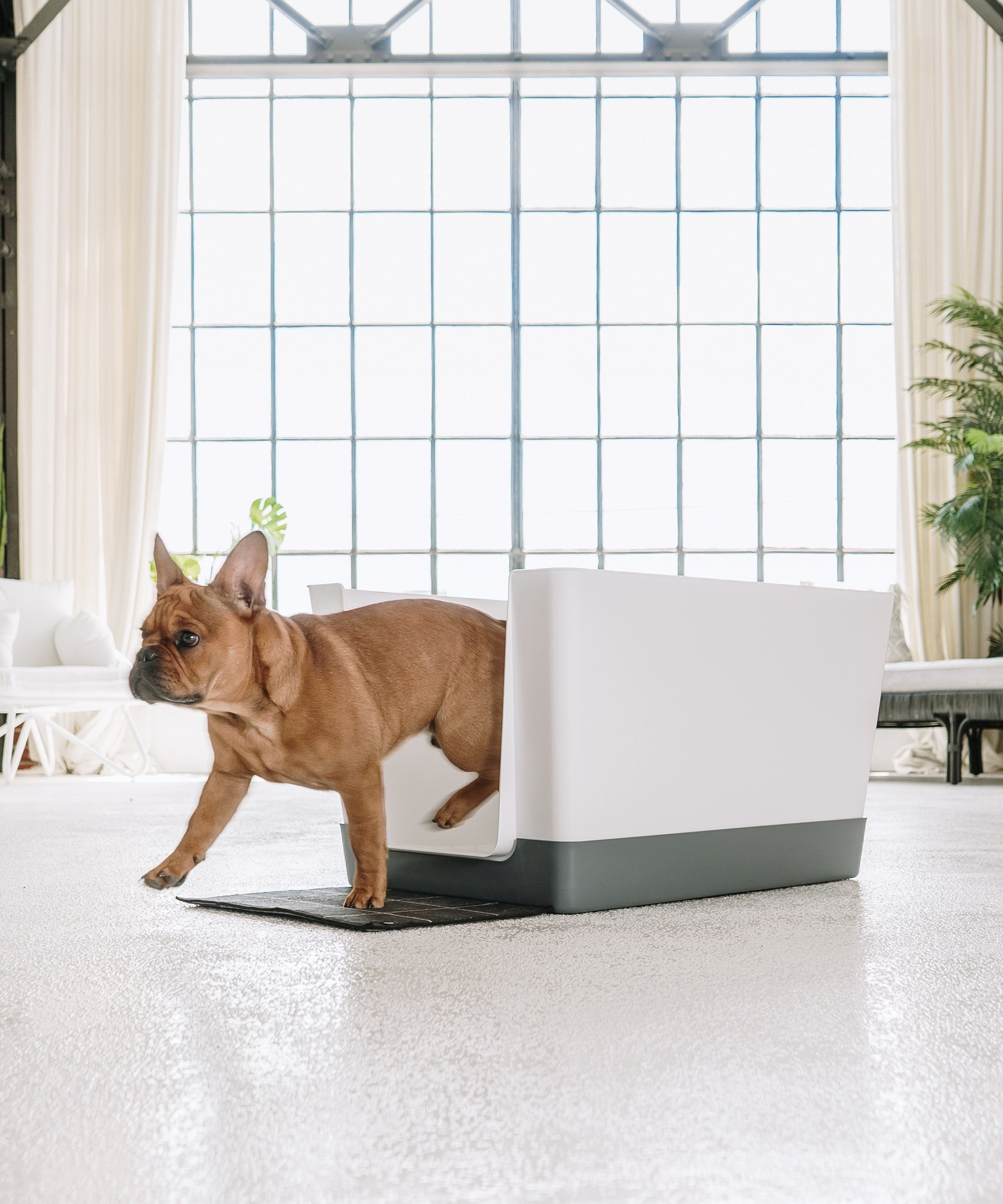 Doggy Bathroom– DoggyBathroom - The Best Dog Litter Box with Vertical ...
