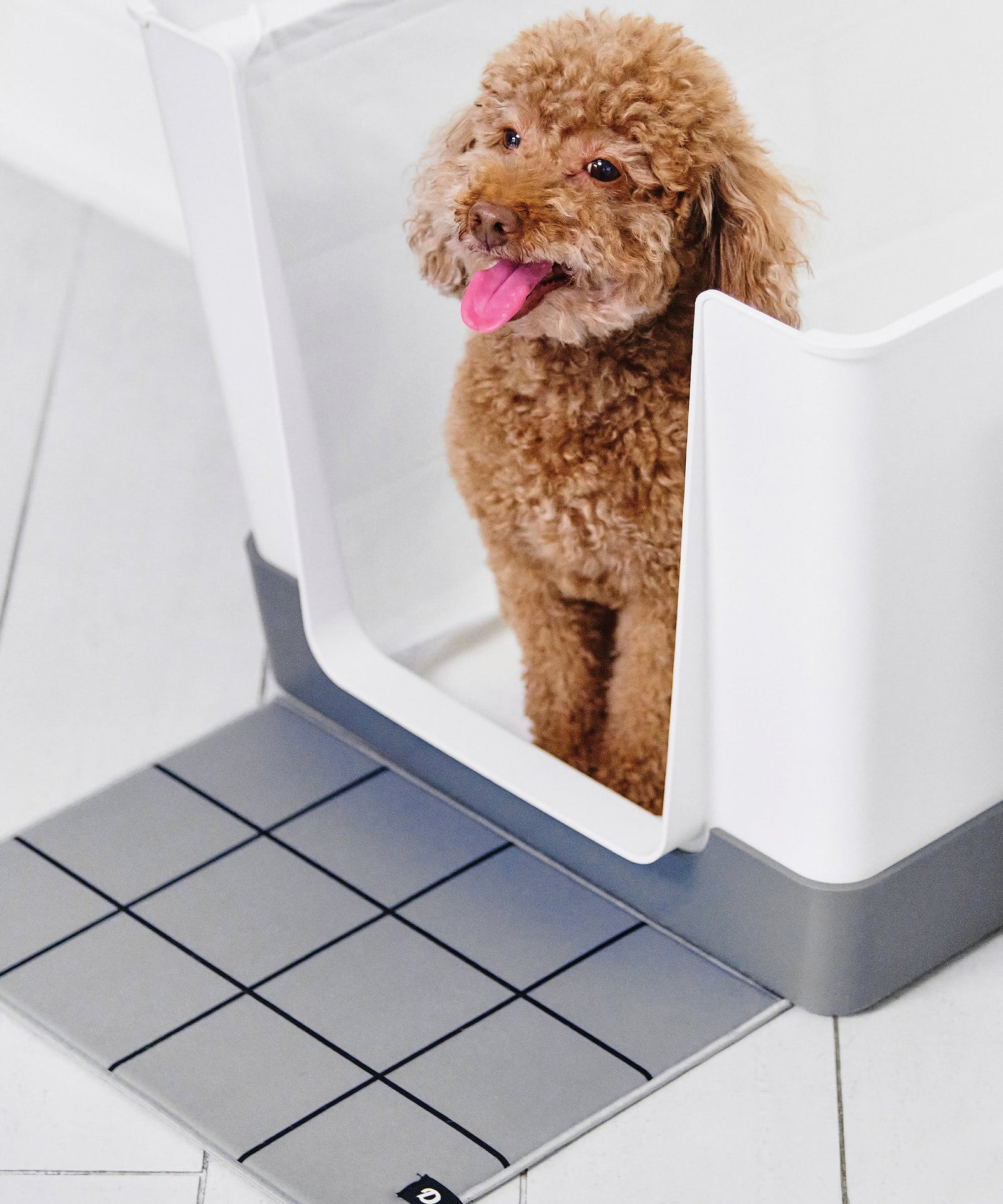 Doggy Bathroom– DoggyBathroom - The Best Dog Litter Box with Vertical ...