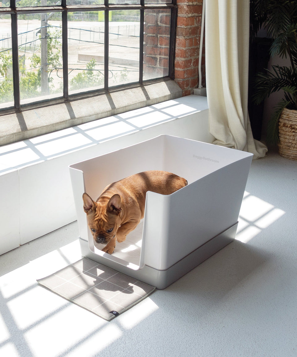 Doggy Bathroom– DoggyBathroom - The Best Dog Litter Box with Vertical ...