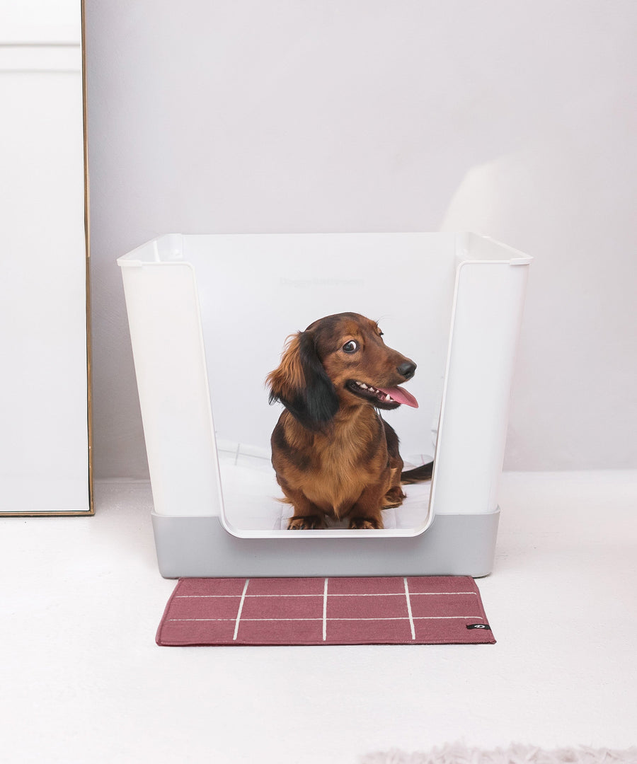 Doggy Bathroom– DoggyBathroom - The Best Dog Litter Box with Vertical ...